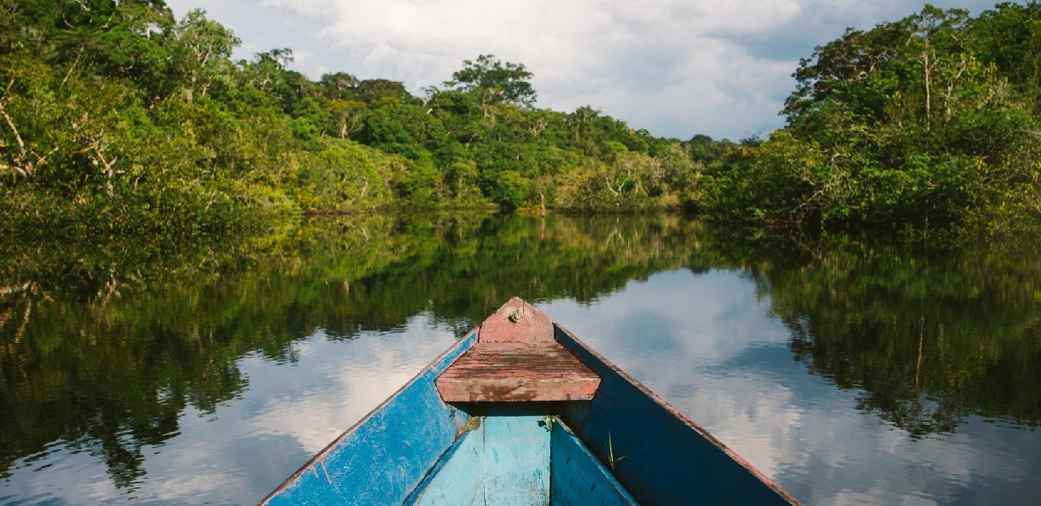Manaus Amazon Tour: River + Jungle - Dolphins - Joint of 2 rivers